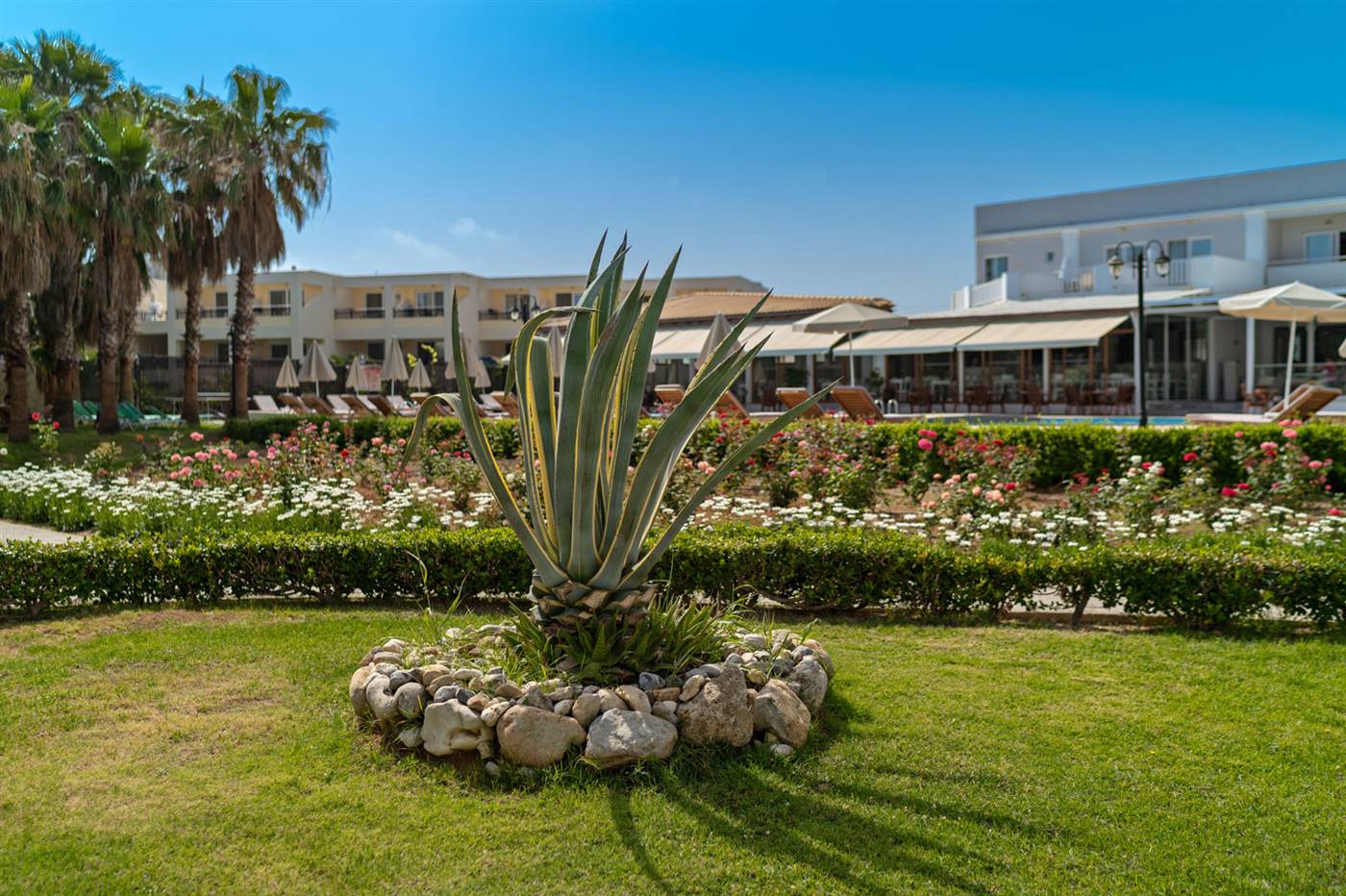 Delfina Beach Hotel Creta - VacanzeGreche - Il tuo portale per la GRECIA